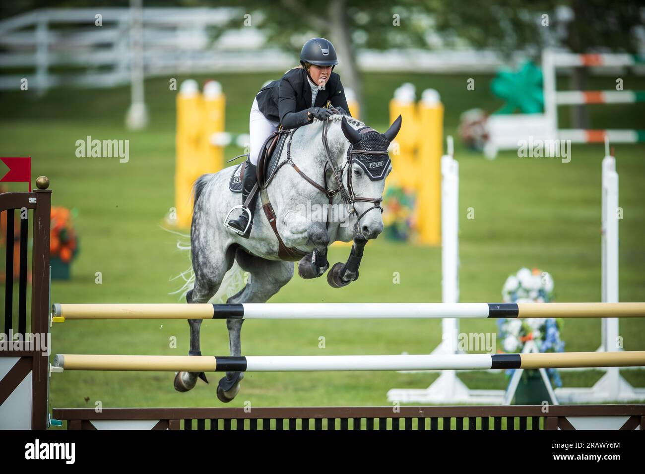 Jacqueline steffens daly hi-res stock photography and images - Alamy
