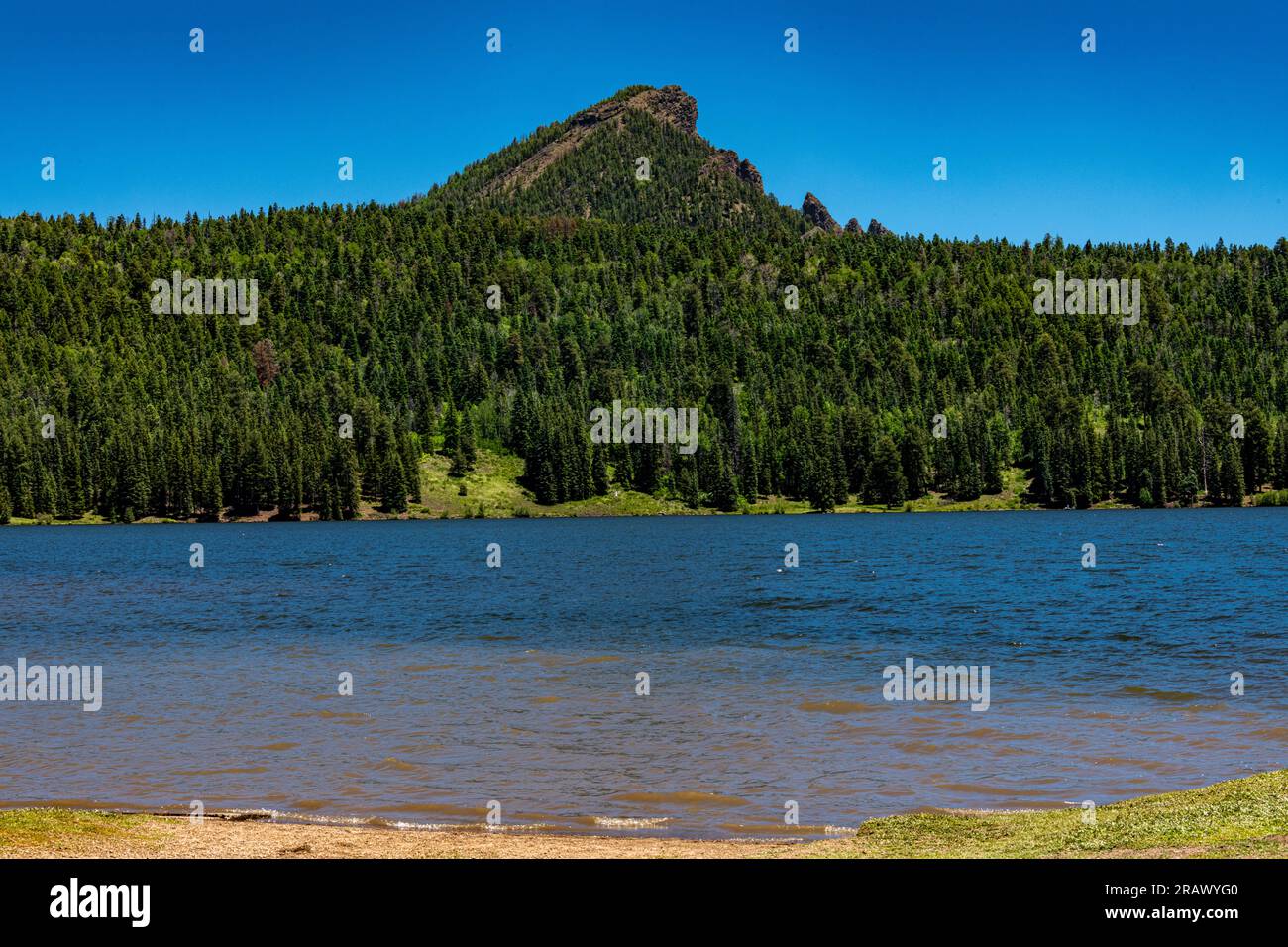 Williams Reservoir and Creek are in the wilderness between Pagosa ...