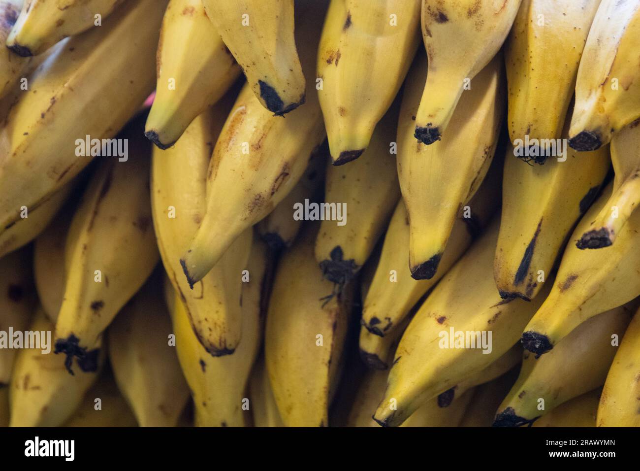 Stack of Bananas shot close up Stock Photo - Alamy
