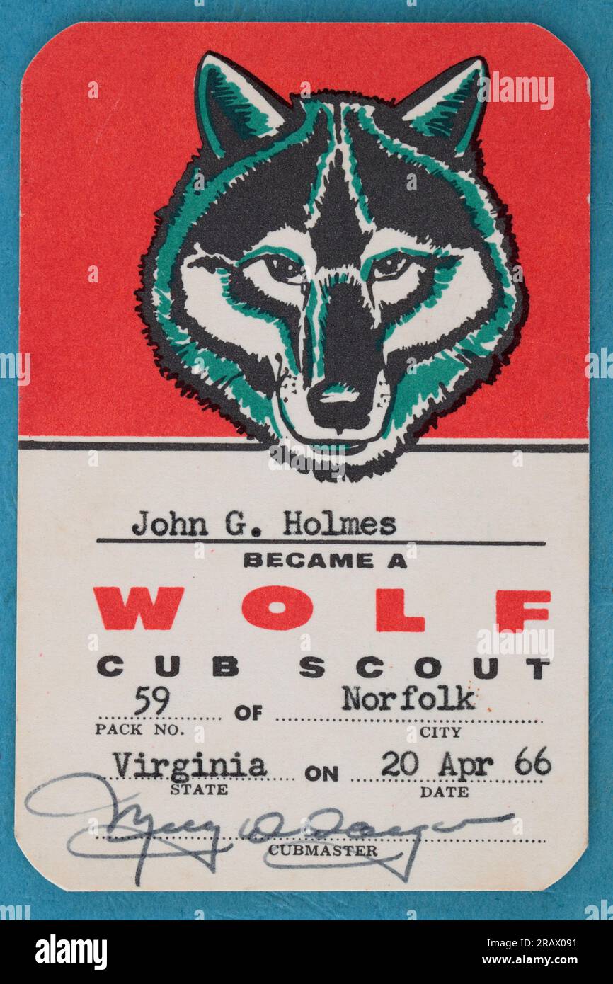 Identification cards hi-res stock photography and images - Alamy