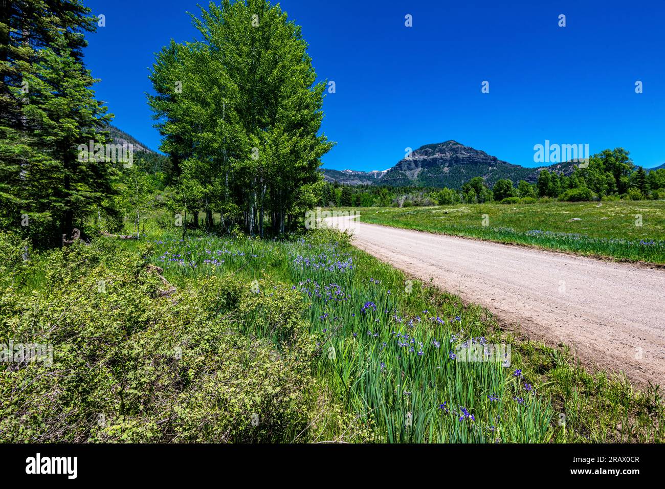 Williams Reservoir and Creek are in the wilderness between Pagosa ...