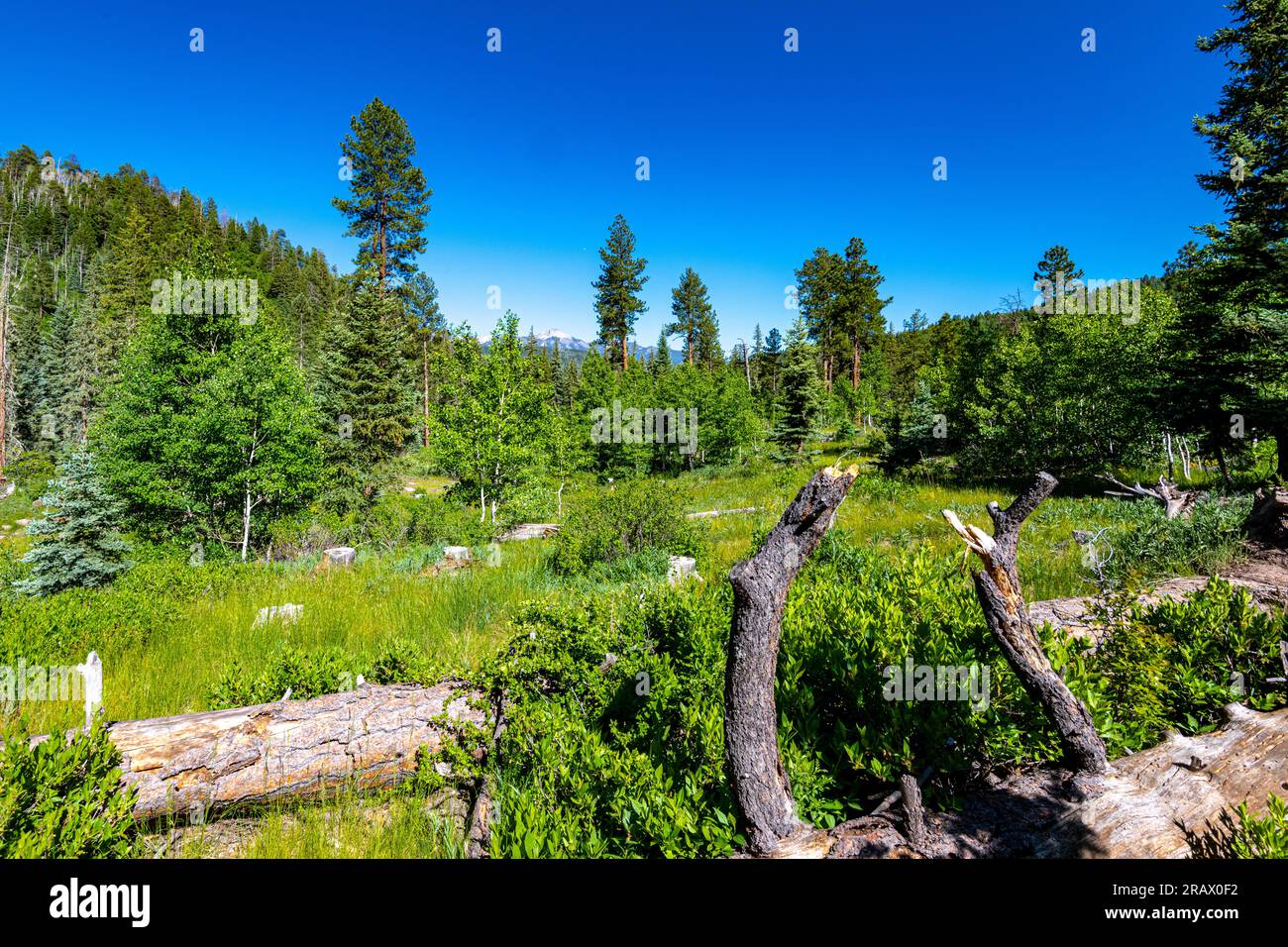 Williams Reservoir and Creek are in the wilderness between Pagosa ...