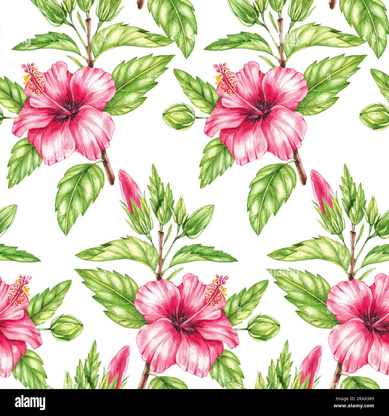 Pattern hibiscus red flowers on a white background. Seamless floral ...