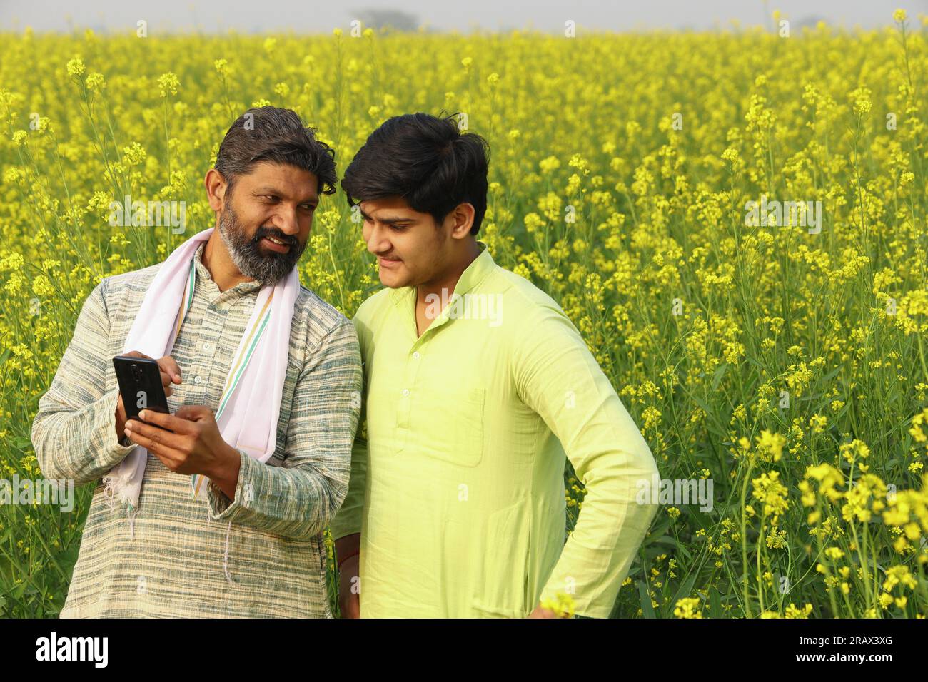Happy rural Indian men standing in a mustard field taking a selfie from ...