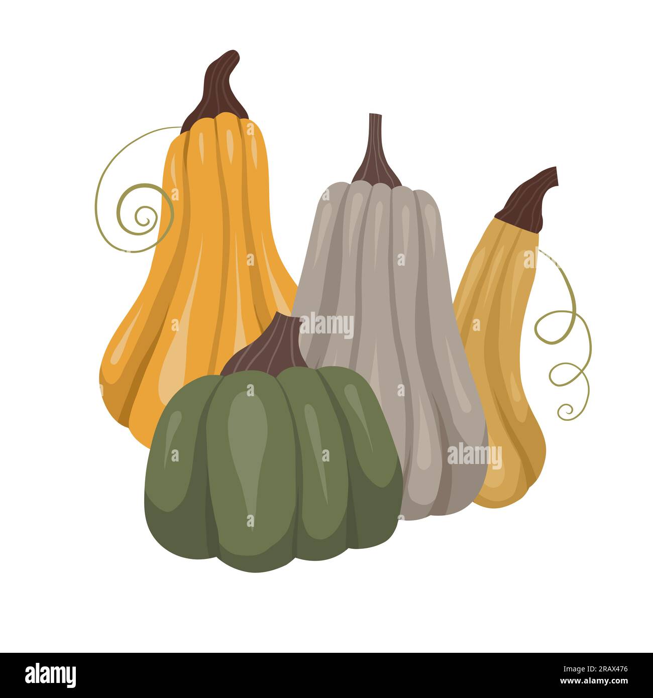 Vector autumn illustration pumpkins isolated from background. Cozy flat ...