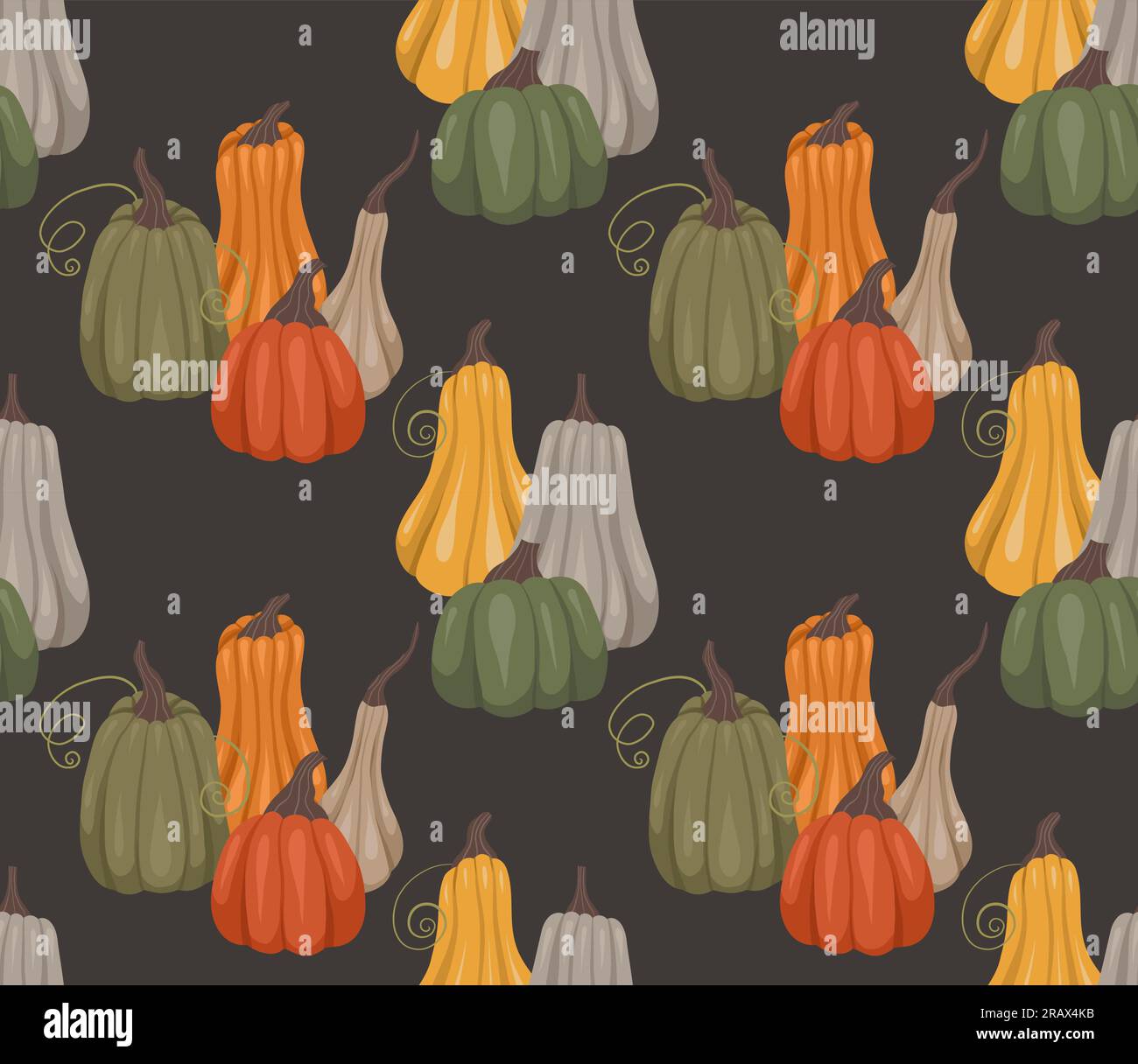 Rustic vector pattern with composition of pumpkins on a dark gray ...