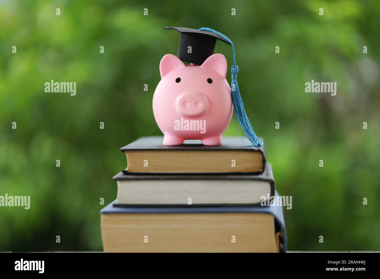 Knowledge and Success: Graduation Cap on Books Against a Beautiful ...