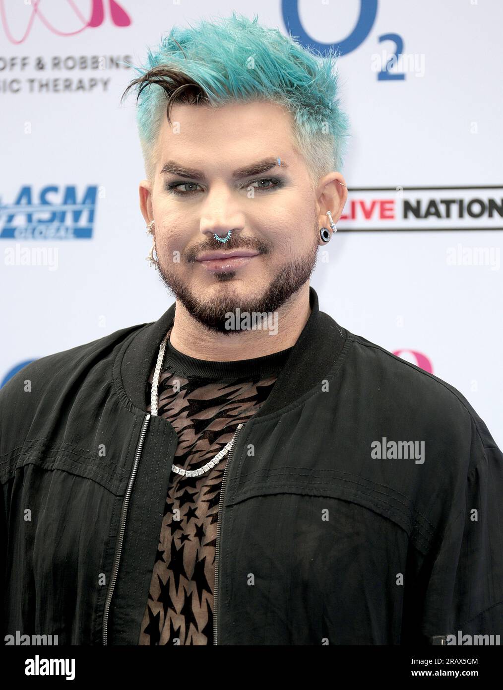 Adam Lambert Silver Hair