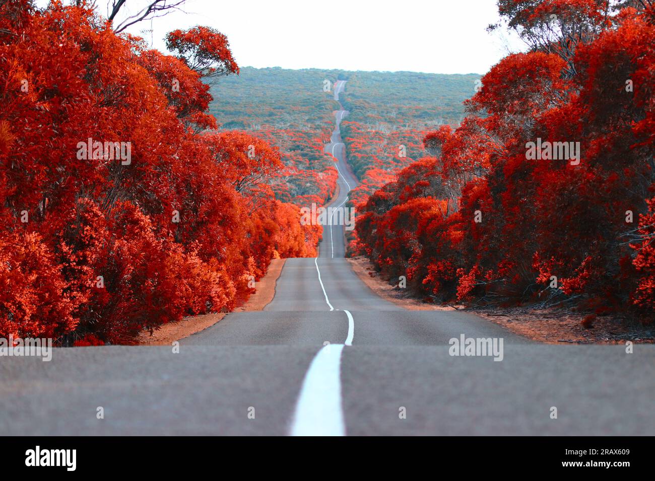 Amazing travel to Australia - Wildlife and landscapes Stock Photo - Alamy