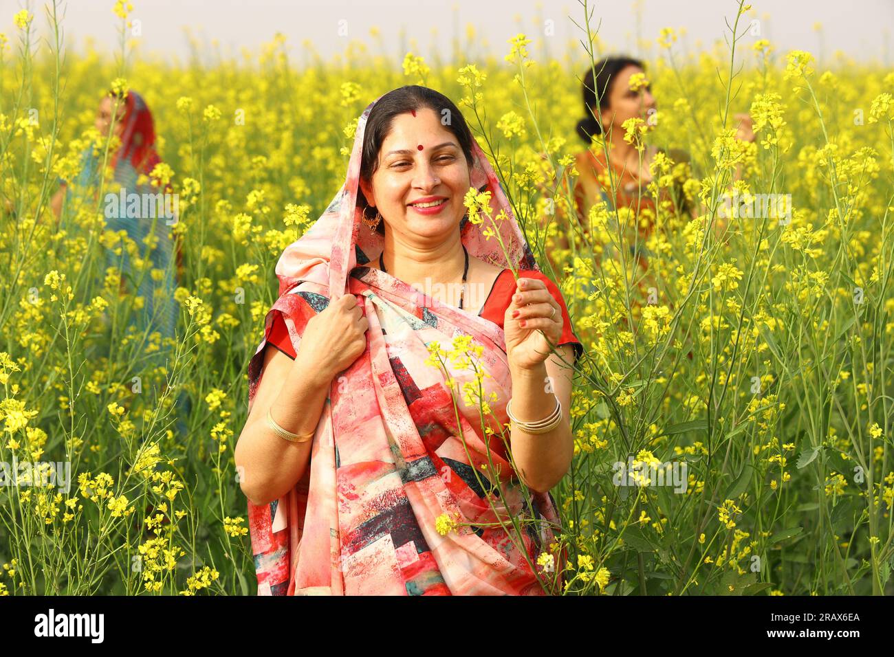 Happy rural Indian women standing in a mustard field enjoying the ...
