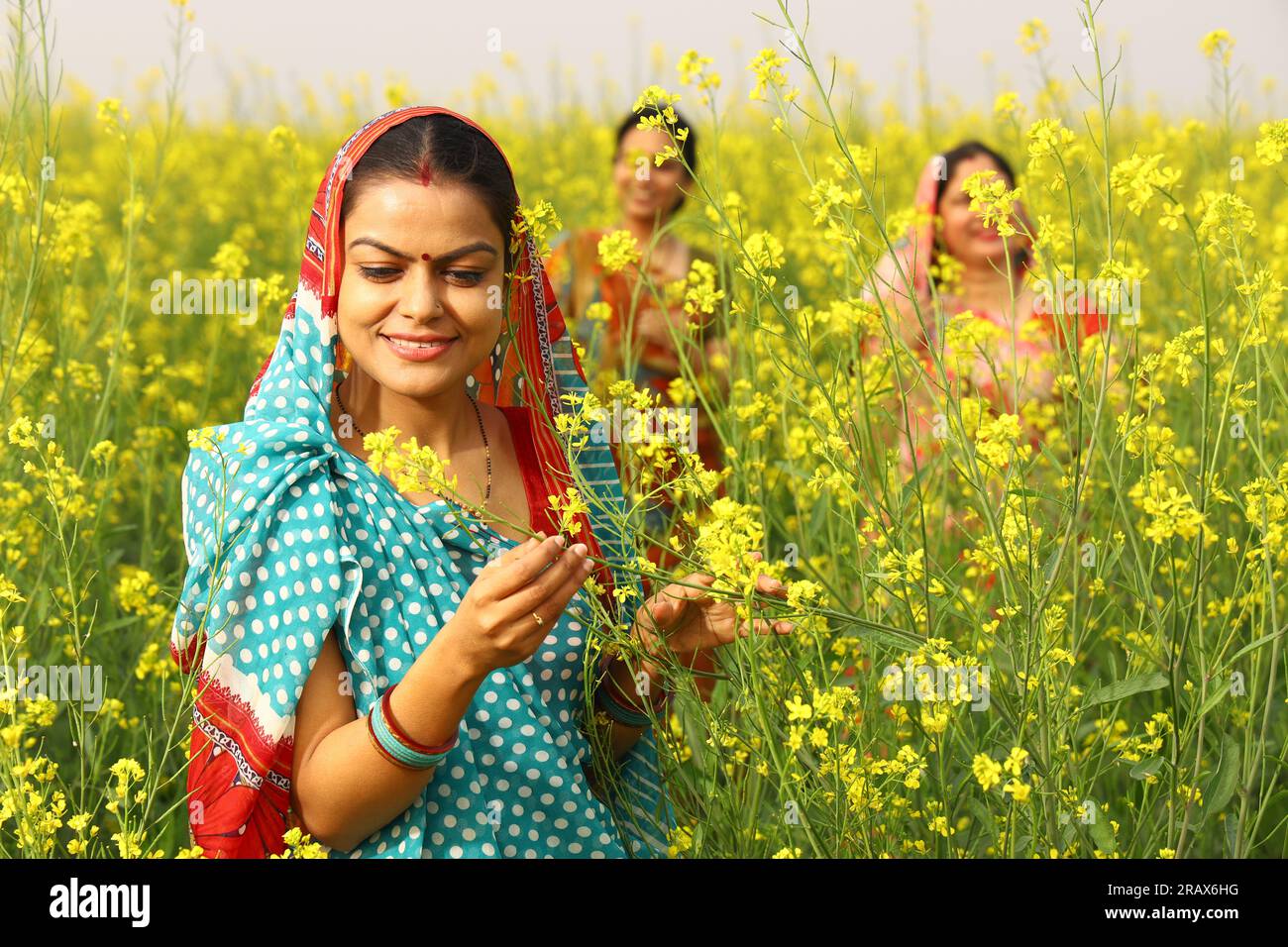 Happy rural Indian women standing in a mustard field enjoying the ...