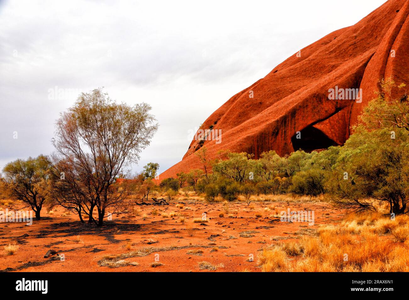 Amazing travel to Australia - Wildlife and landscapes Stock Photo - Alamy
