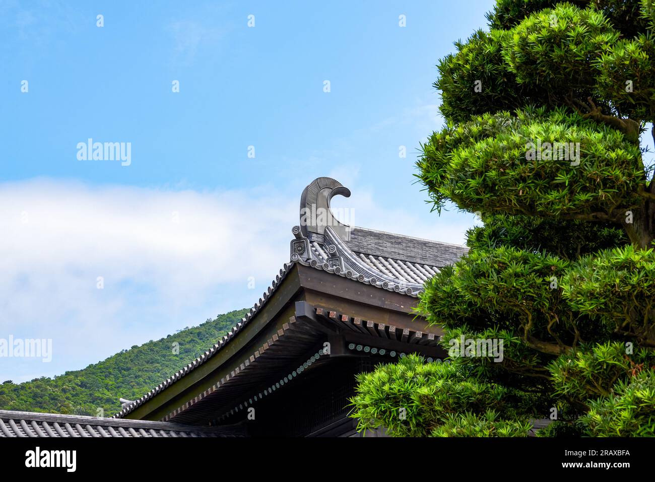 Timber structure Japanese style Tang style architectural temple of Tsz ...