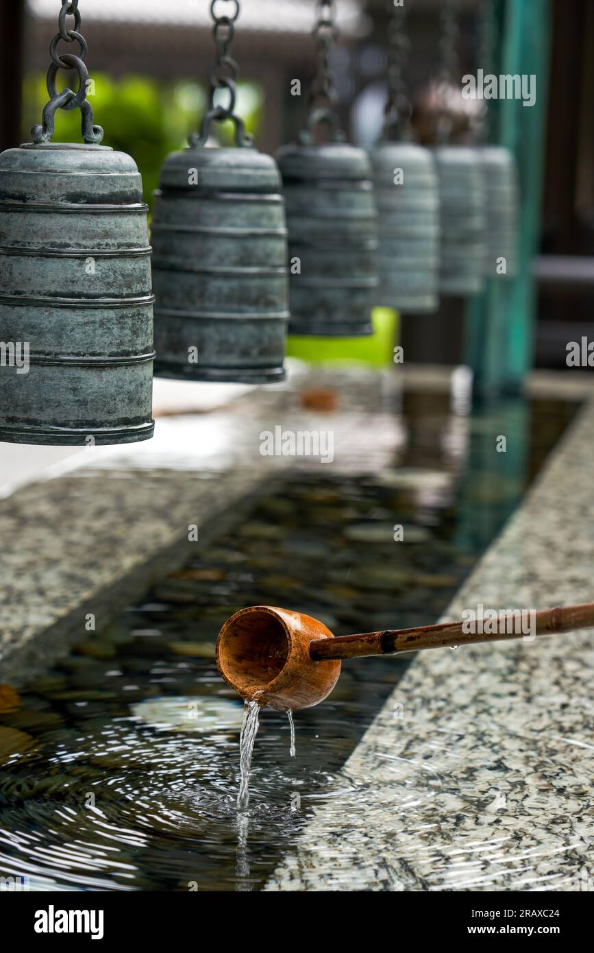 Close up of the water tribute pond at Tsz Shan Monastery in Hong Kong ...