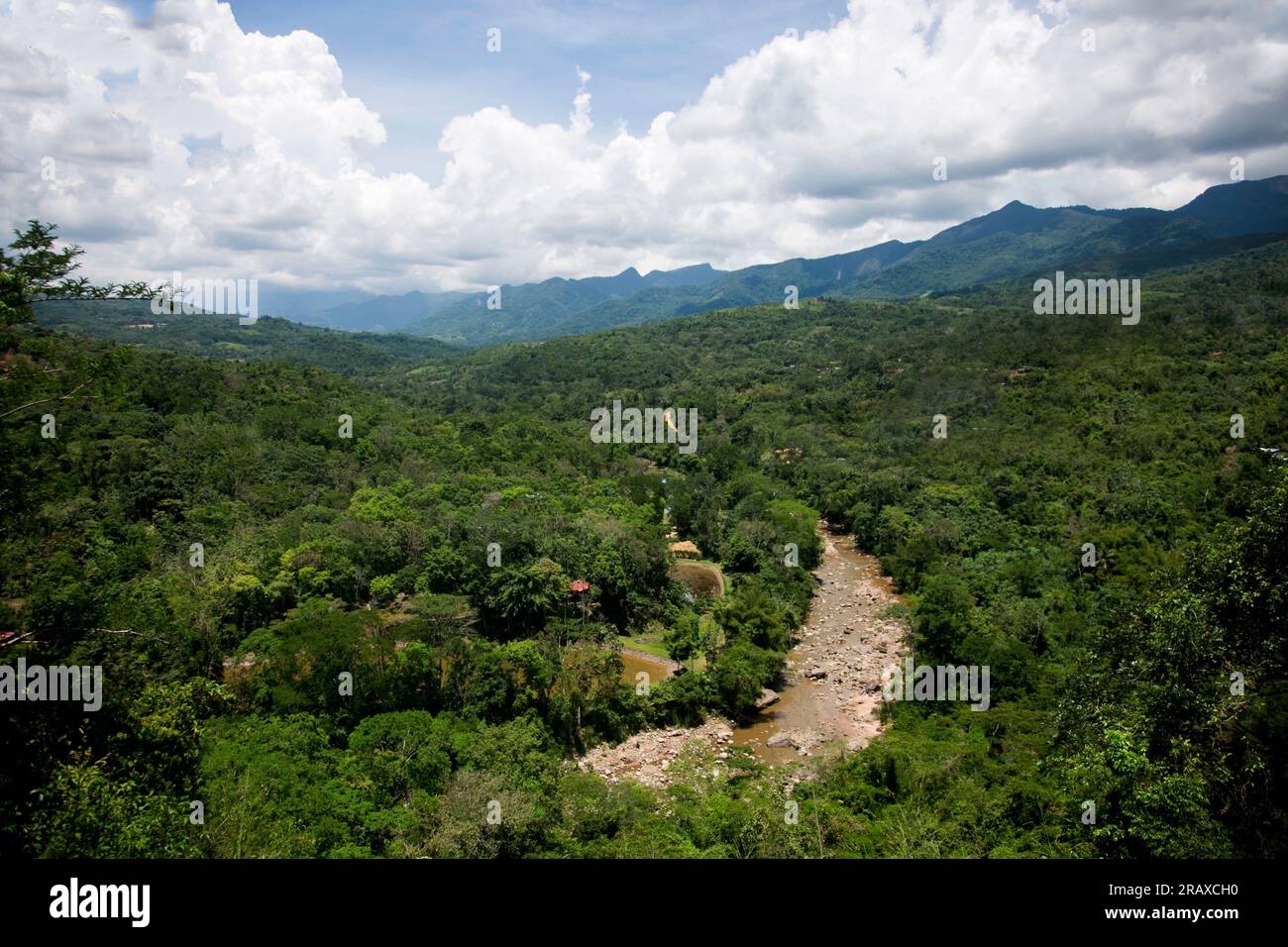 Panoramic view of the Peruvian jungle from a viewpoint in the city of ...
