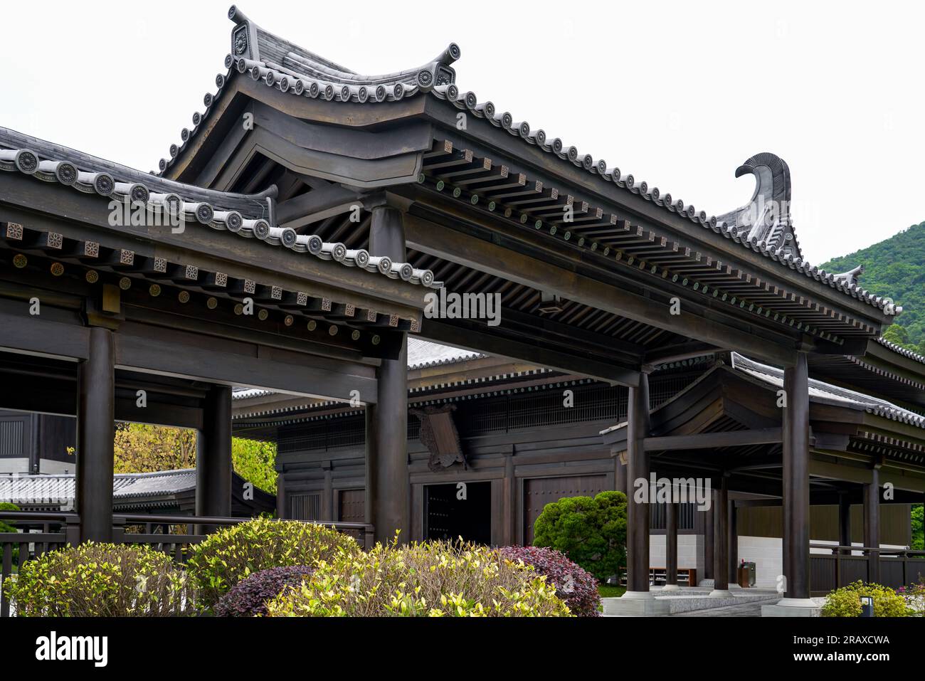 Timber structure Japanese style Tang style architectural temple of Tsz ...