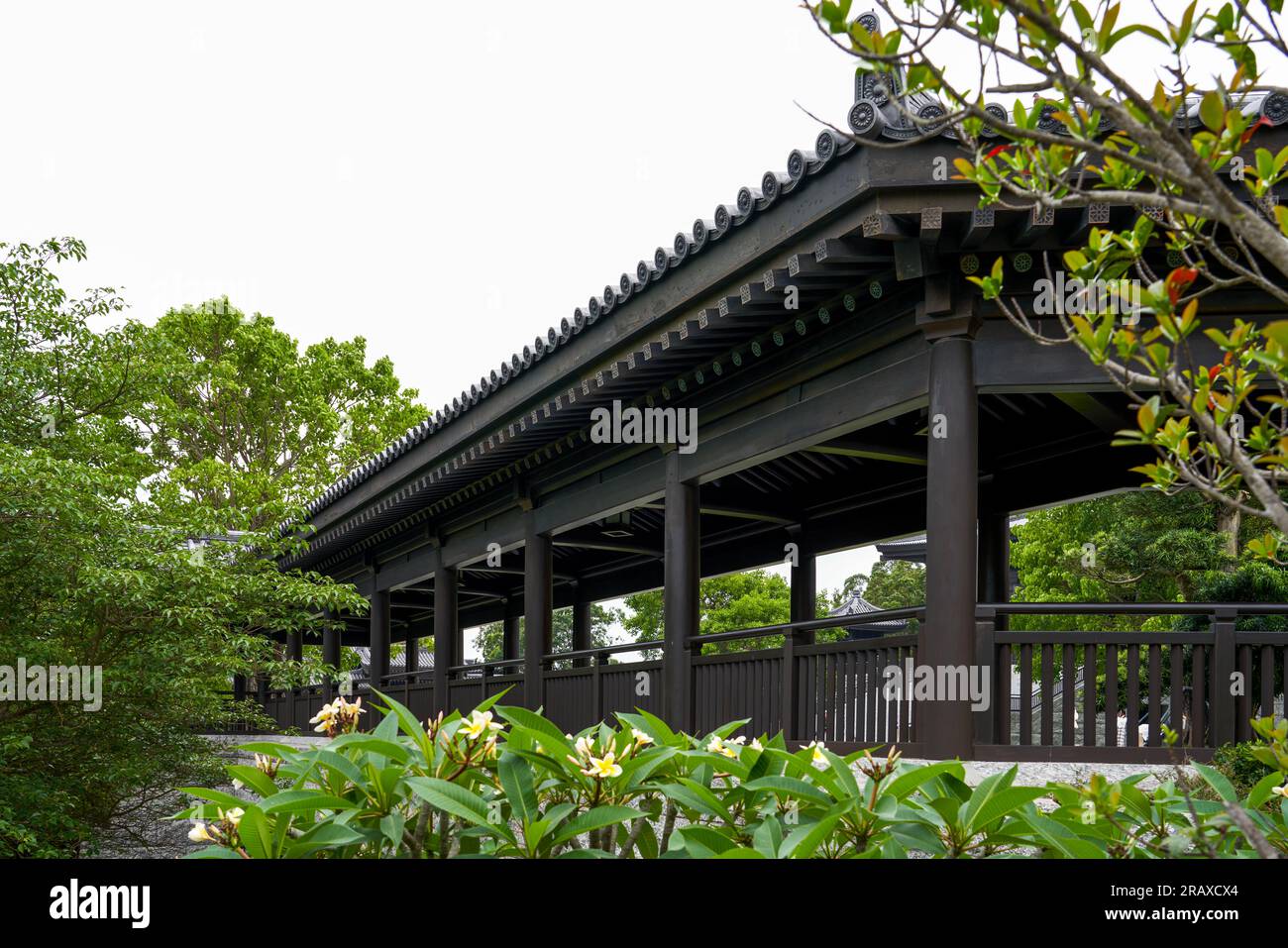 Timber structure Japanese style Tang style architectural temple of Tsz ...
