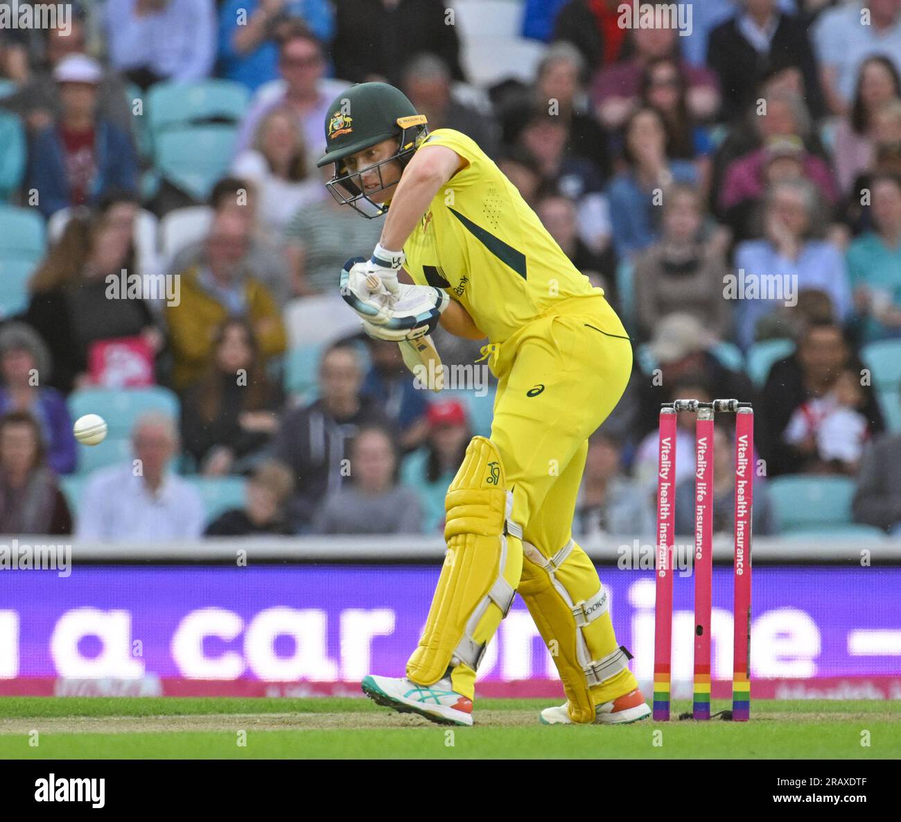 Cricket alyssa healy hi-res stock photography and images - Alamy
