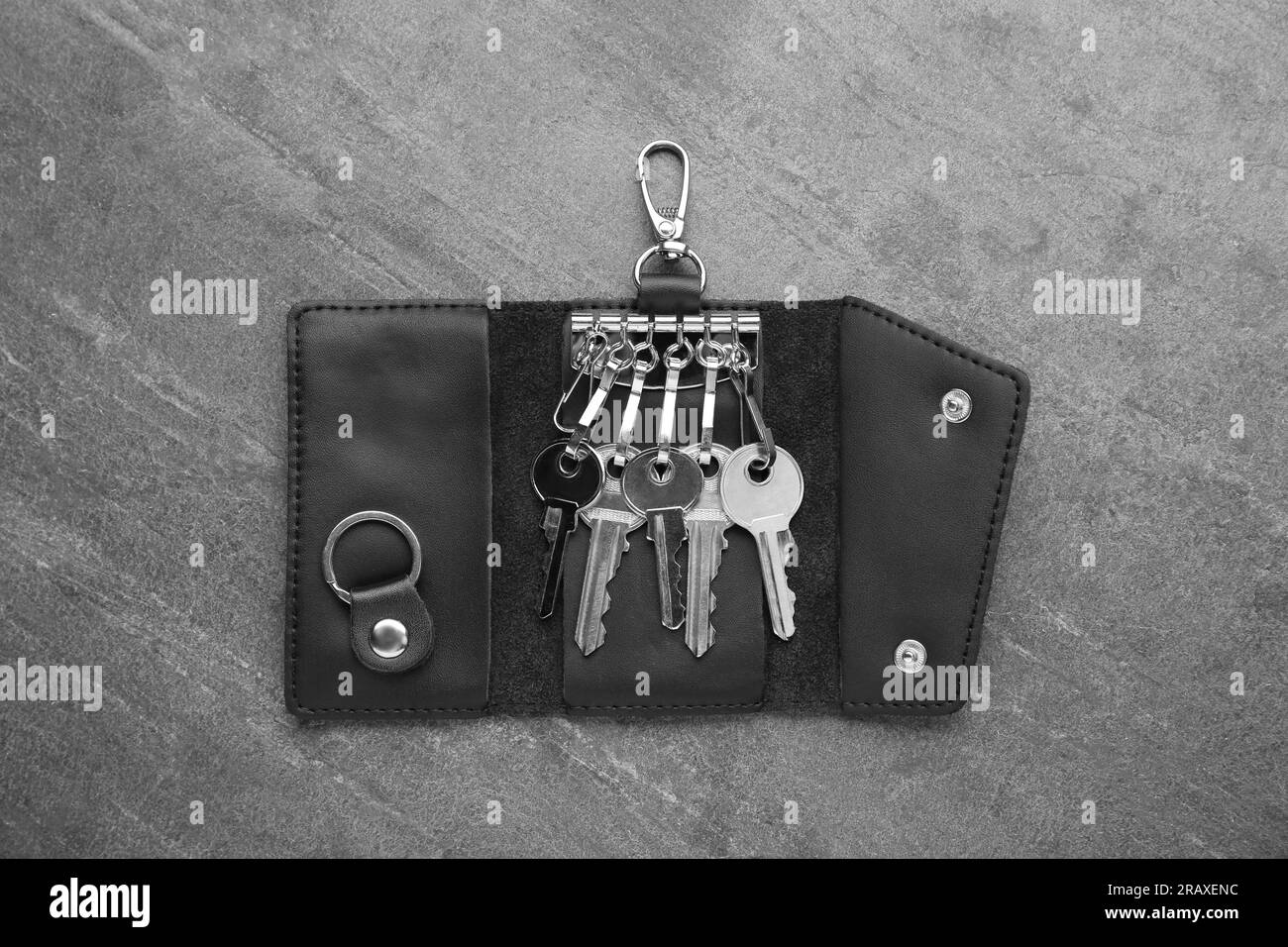 House open door expensive Black and White Stock Photos & Images - Alamy