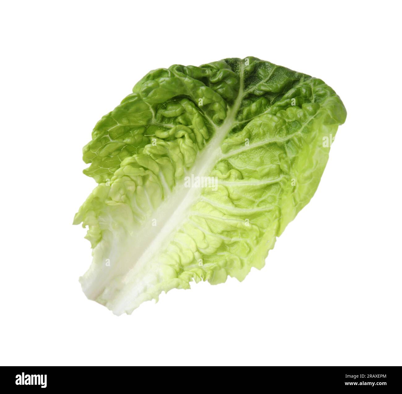 Fresh leaf of green romaine lettuce isolated on white Stock Photo - Alamy