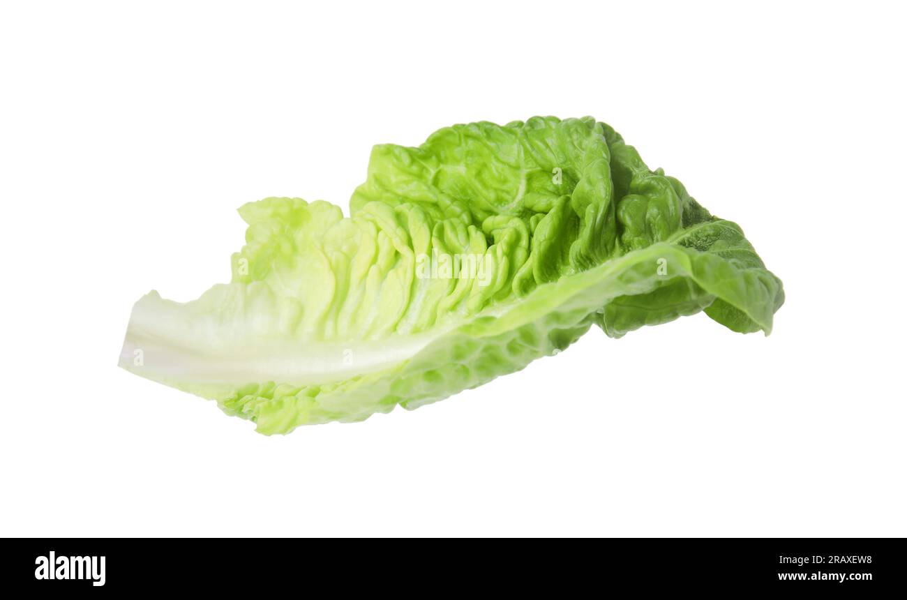 Fresh leaf of green romaine lettuce isolated on white Stock Photo - Alamy