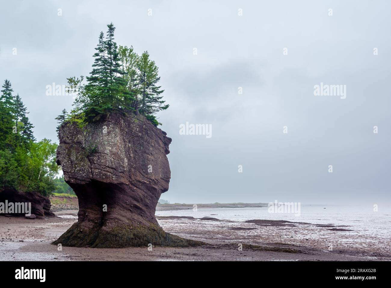 The bay of Fundy, New Brunswick.This bay is famous for having the ...