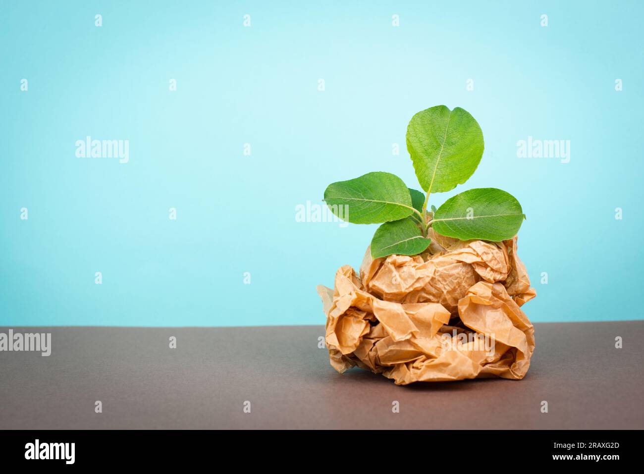 Protecting the eco system hi-res stock photography and images - Alamy