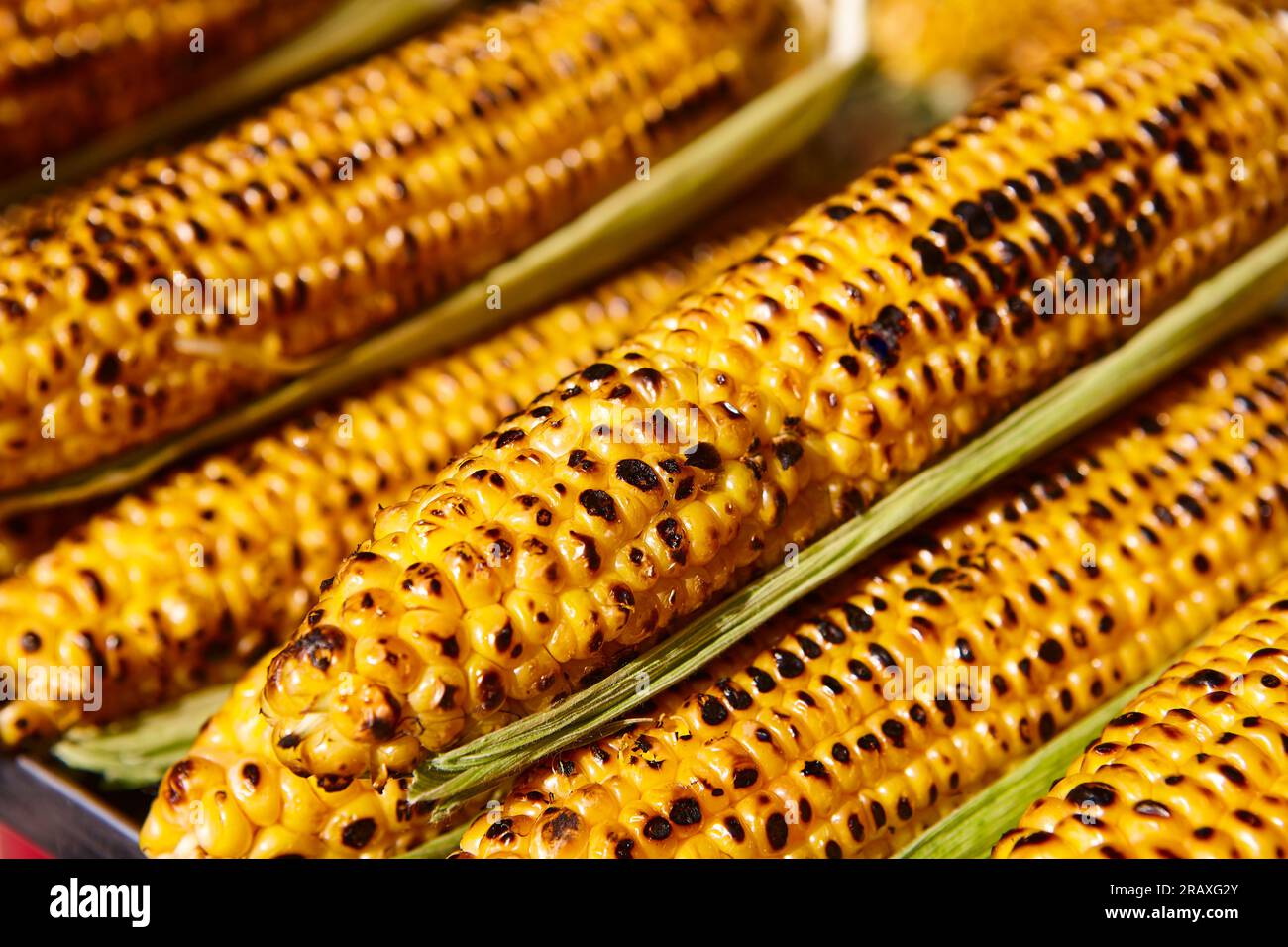 Traditional street food in Turkey. Roosted corn. Tasty cuisine Stock ...