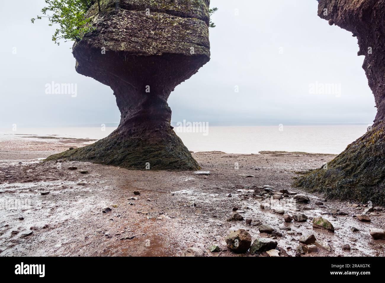 The bay of Fundy, New Brunswick.This bay is famous for having the ...