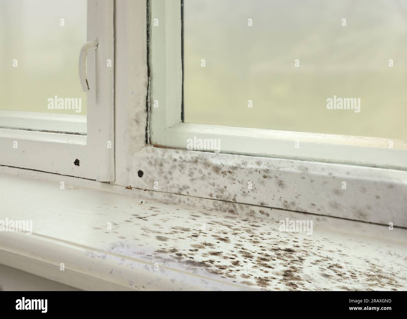 Sill and window affected with mold in room Stock Photo - Alamy