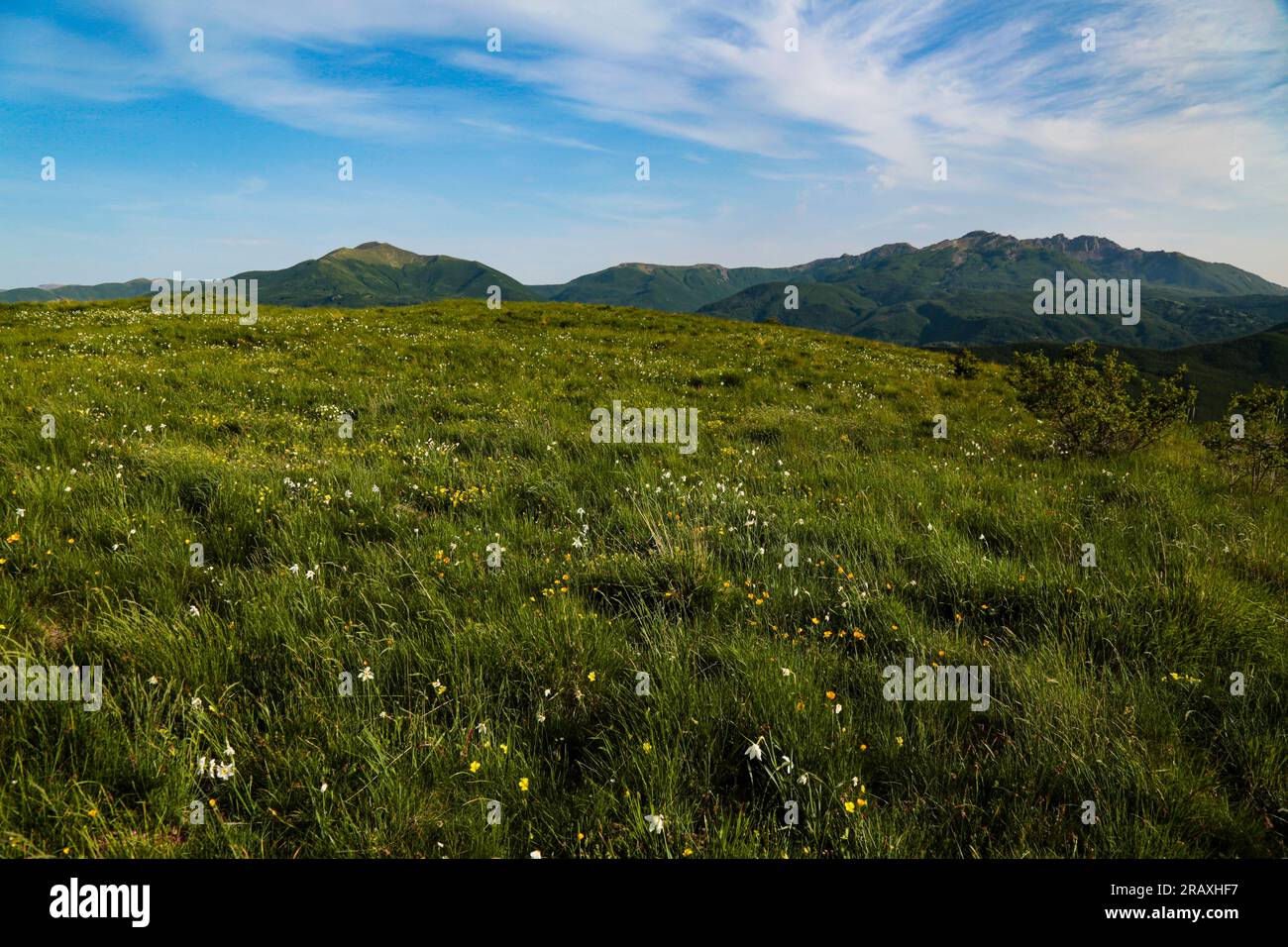 Landscape of the Tuscan-Emilian Apennine mountains Stock Photo - Alamy