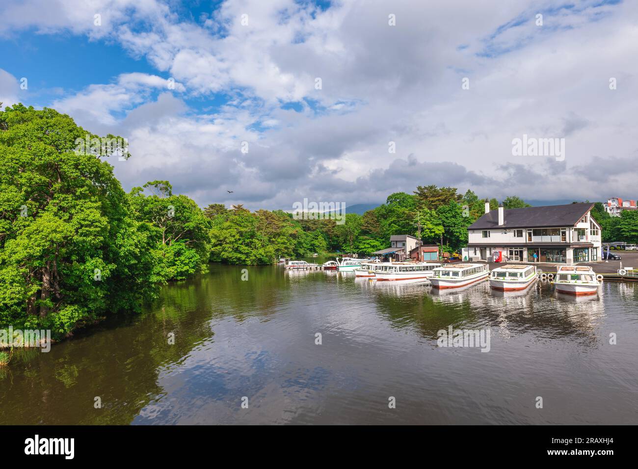 Onuma koen national park hi-res stock photography and images - Alamy