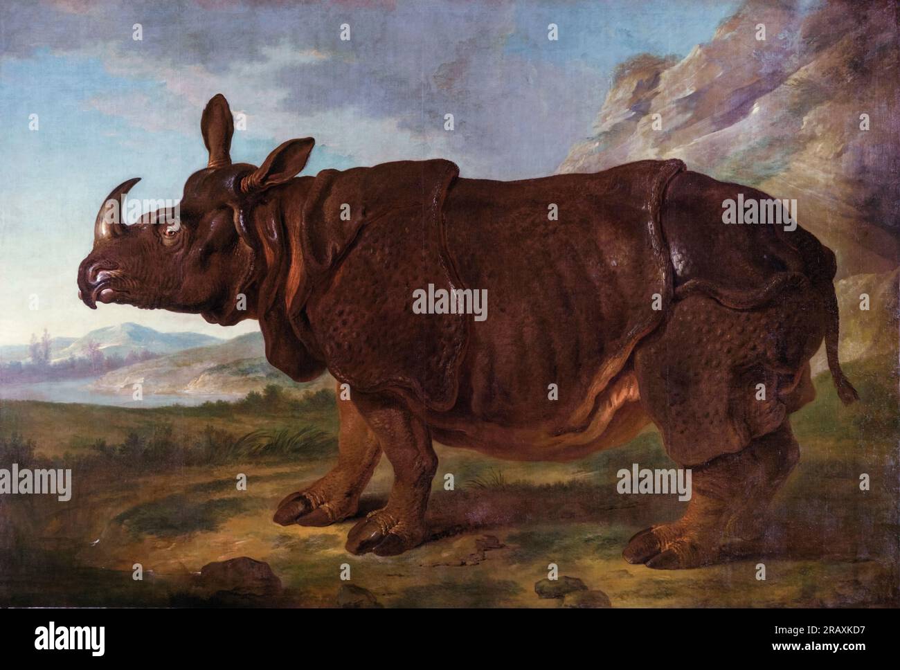 Rhinoceros Wounded Man And Disemboweled Bison