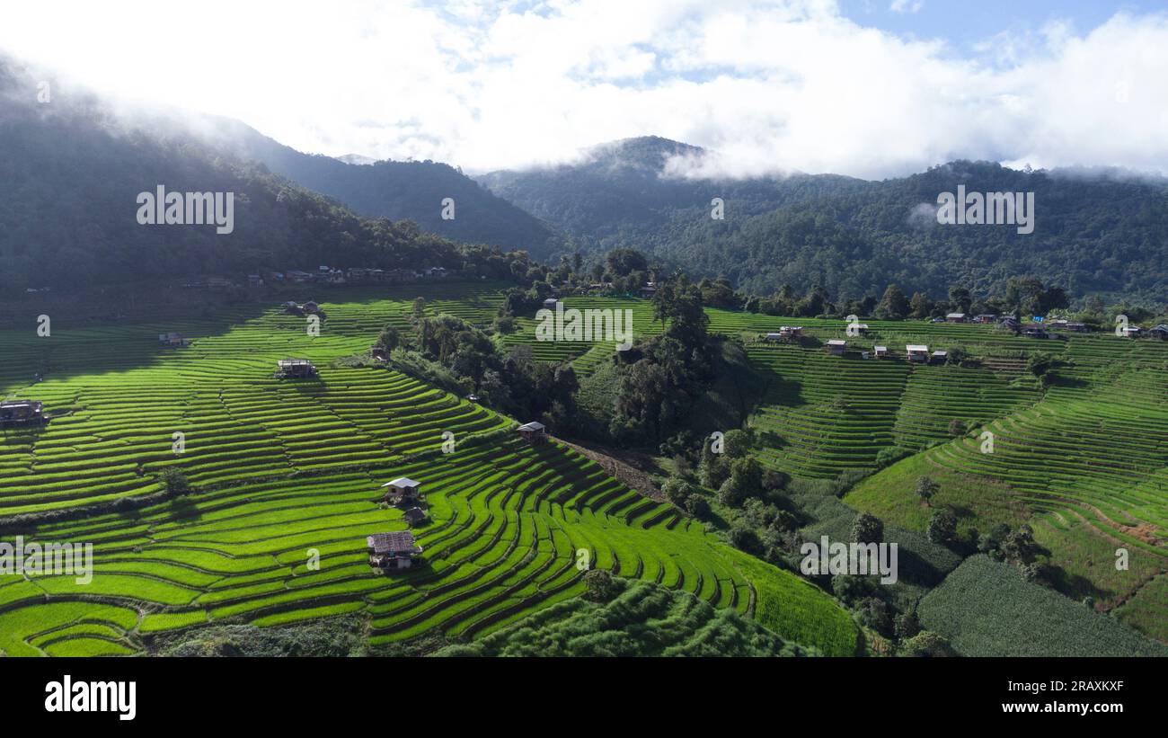 Thailand rain rice terrace hi-res stock photography and images - Alamy