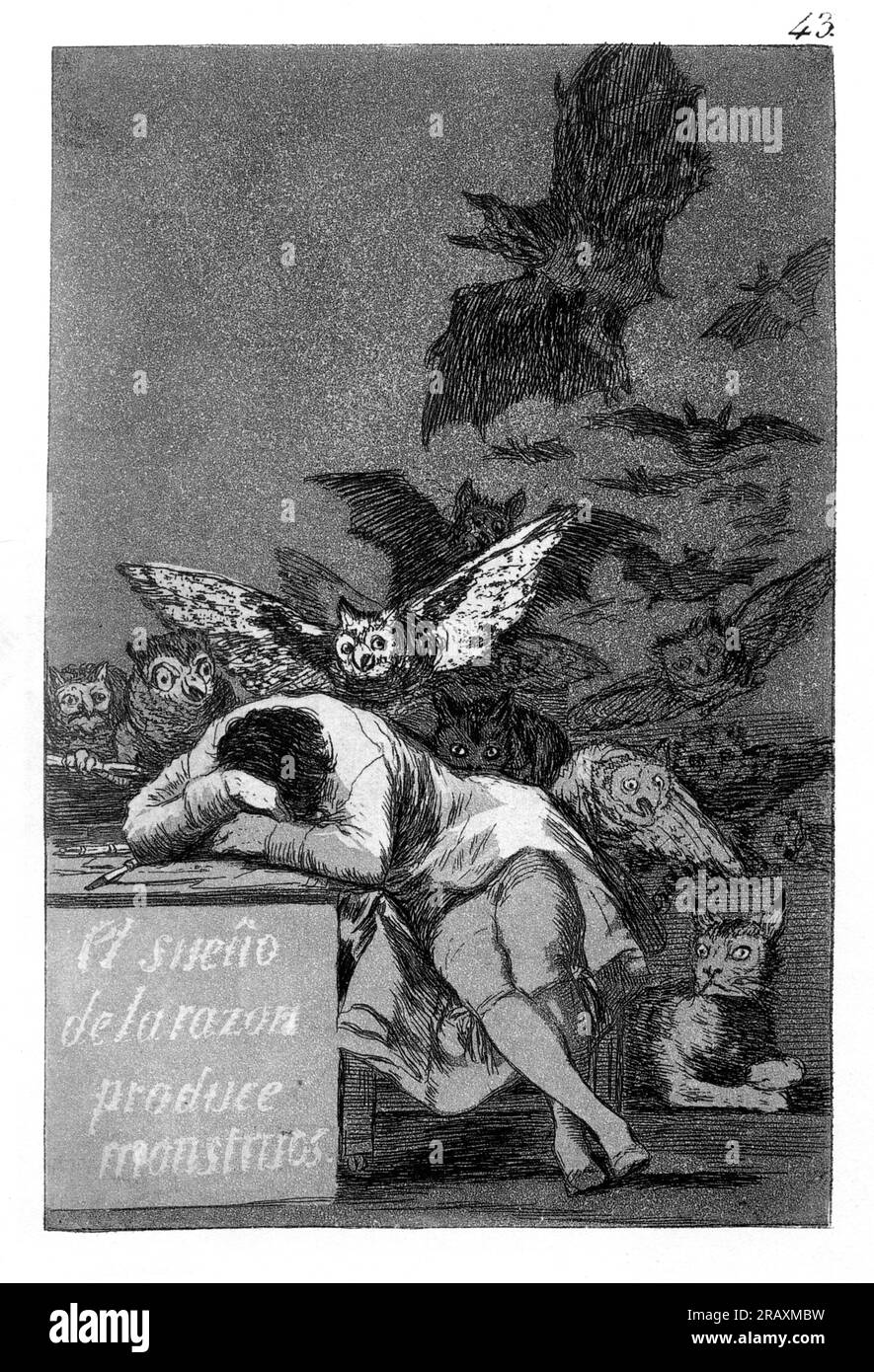The sleep of reason produces monsters 1799 by Francisco Goya Stock ...