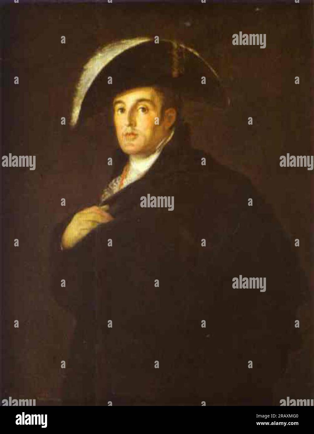 The Duke of Wellington 1812 by Francisco Goya Stock Photo - Alamy