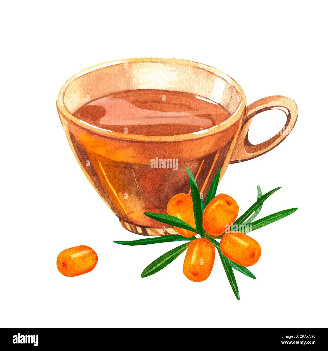Glass transparent cup filled with sea buckthorn tea. Hand drawn ...