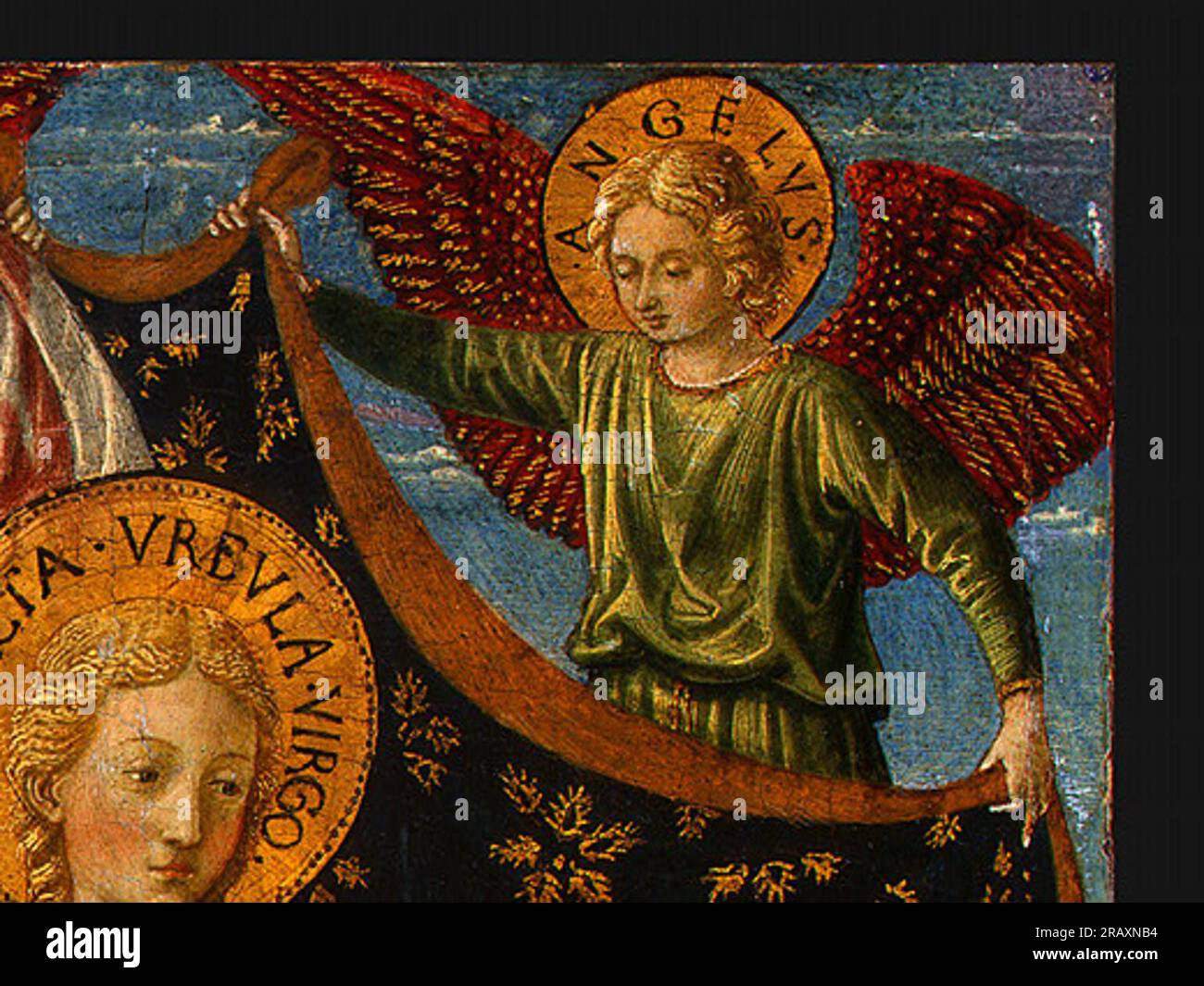 The donor detail hi-res stock photography and images - Alamy