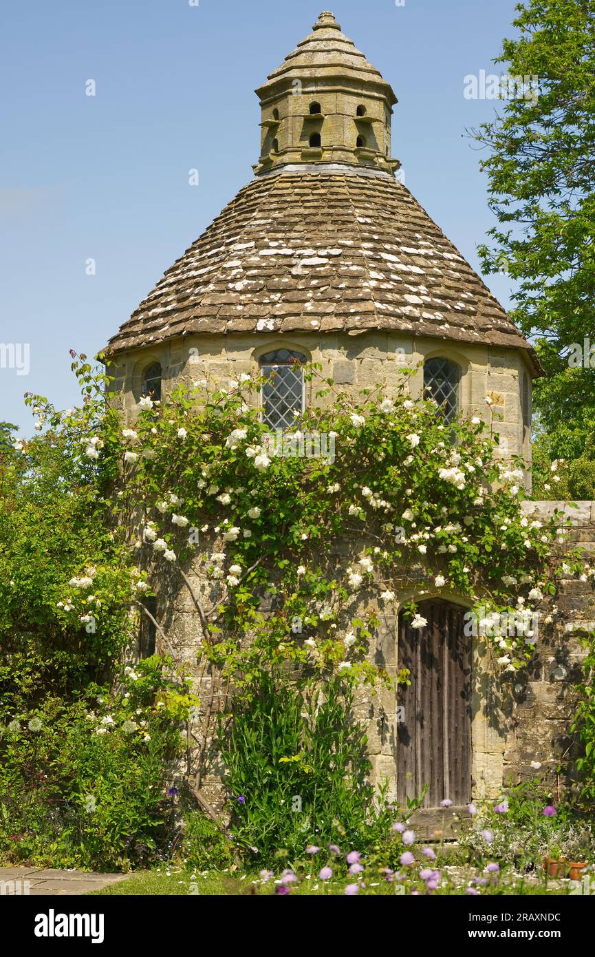 Roses around the door hi-res stock photography and images - Alamy