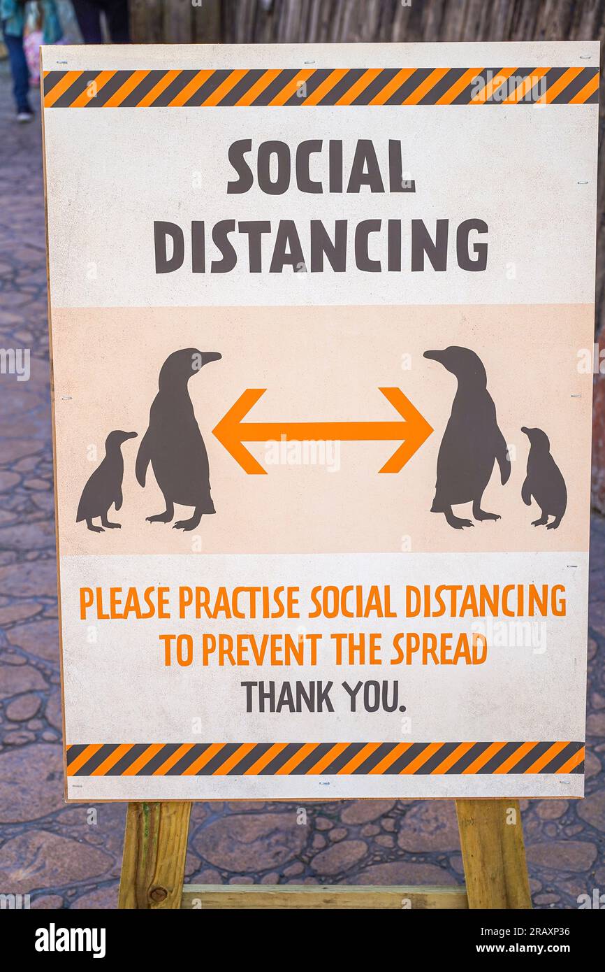Social distancing penguin sign in a zoo Stock Photo - Alamy