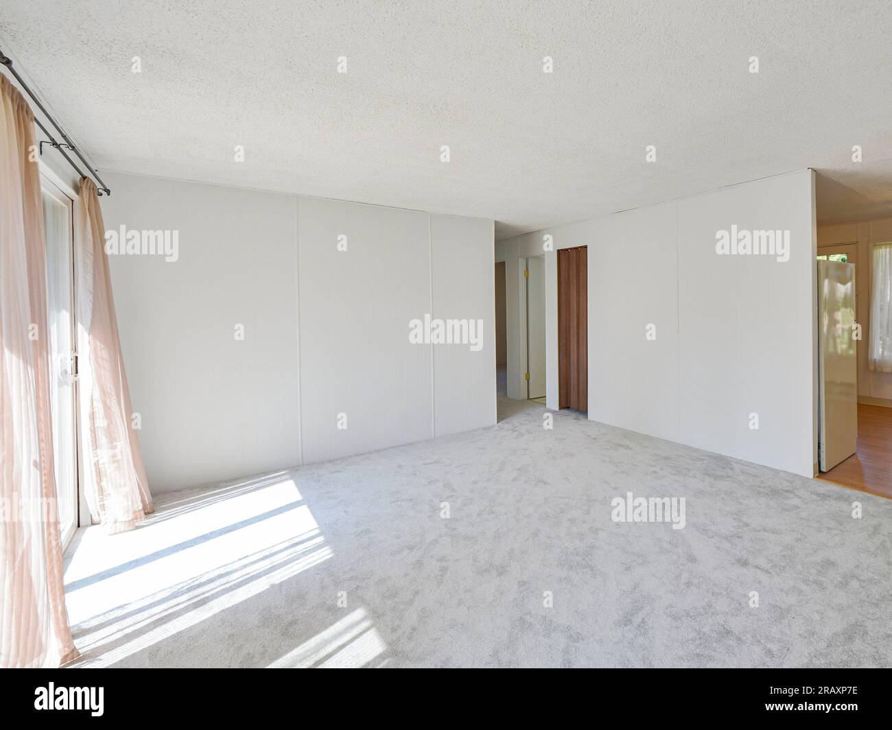 Modern residential empty living room interior Stock Photo - Alamy