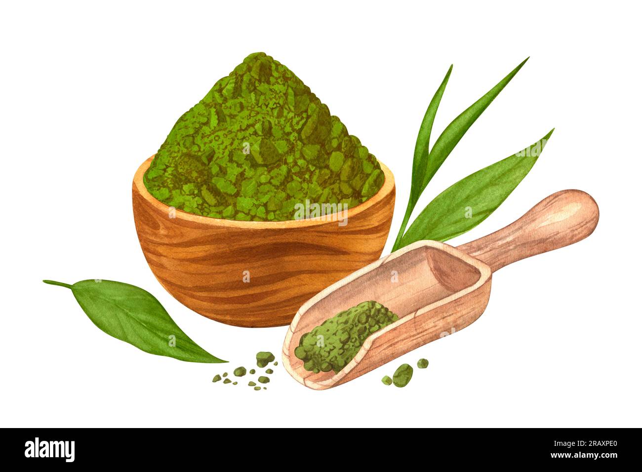 Watercolor dry organic green Japanese matcha latte in wooden bowl ...