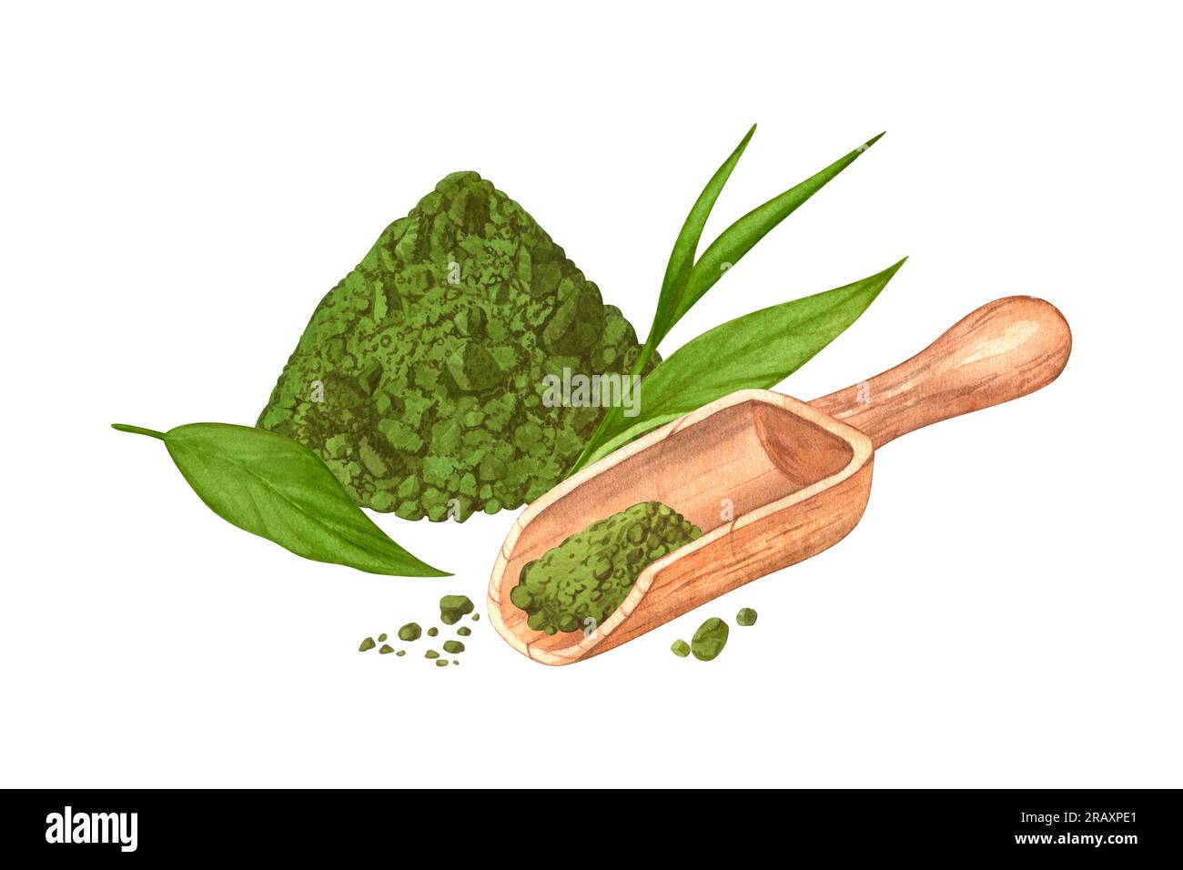 Watercolor dry organic green Japanese matcha latte in wooden bowl ...