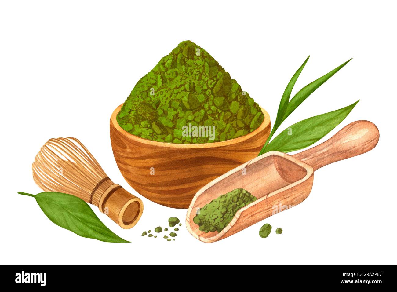 Watercolor dry organic green Japanese matcha latte in wooden bowl ...