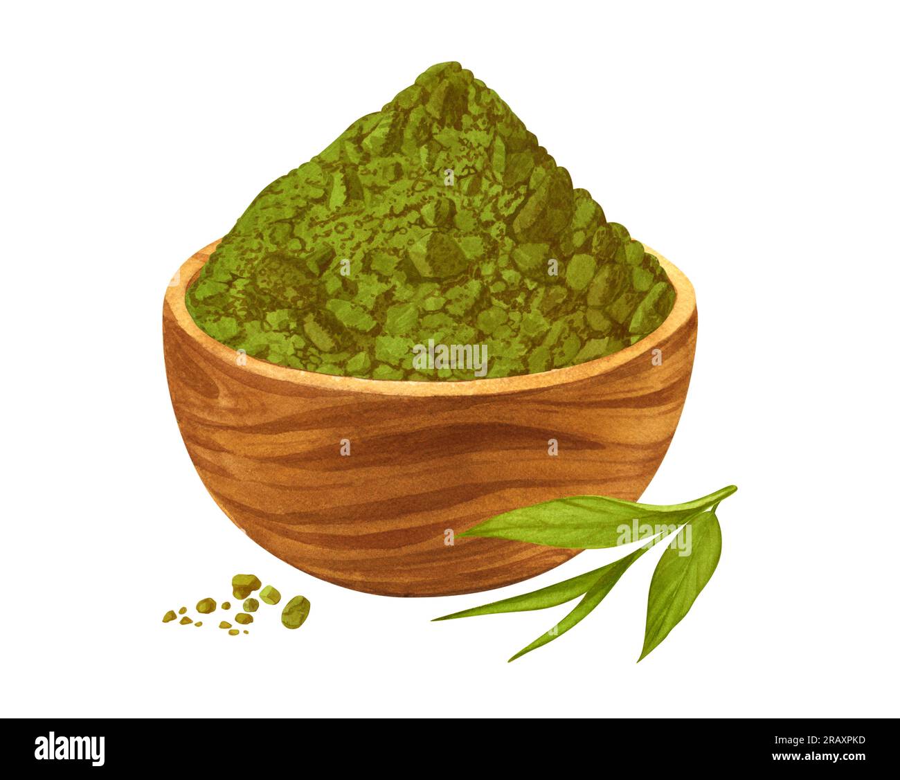 Matcha tea powder in wooden bowl, with green tea leaves. Hand drawn ...