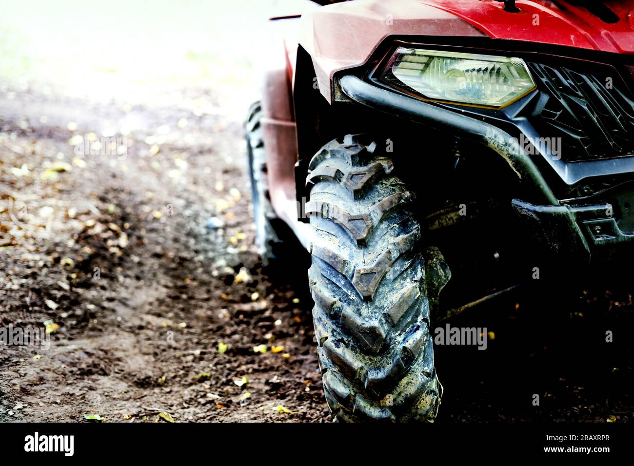 Atv Babe Wallpaper