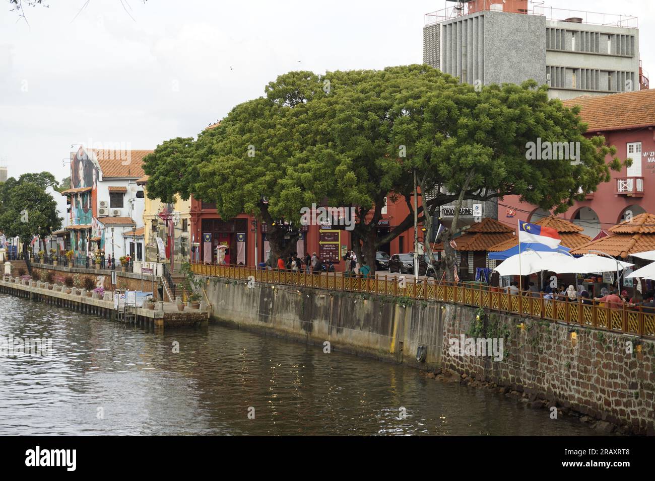 tropical tree at Dutch Square , Malacca Stock Photo - Alamy