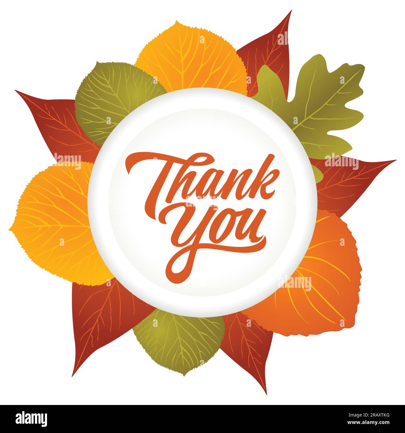Thank you hand lettering with leaves decoration Stock Vector Image ...
