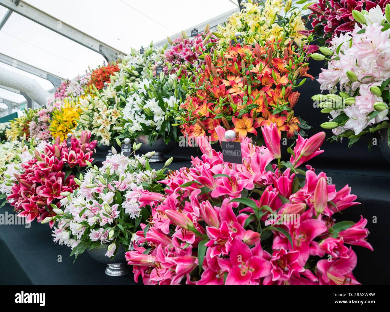 RHS Hampton Court Palace Flower Festival Stock Photo - Alamy