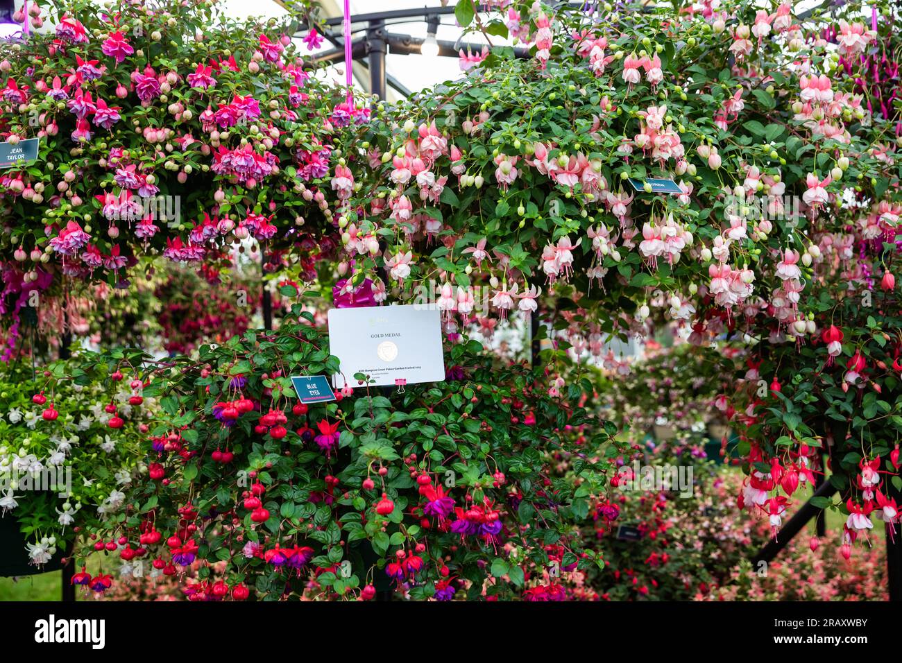 RHS Hampton Court Palace Flower Festival Stock Photo - Alamy